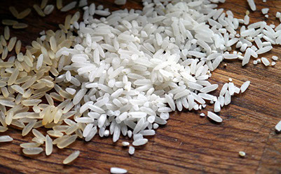 Rice Genome Sequencing Project